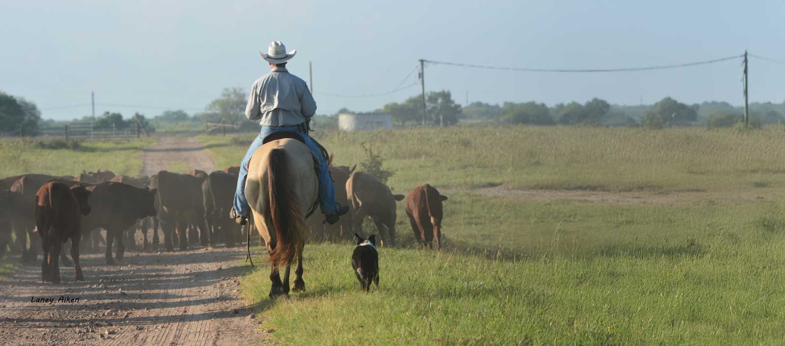 Home - Briggs Ranches